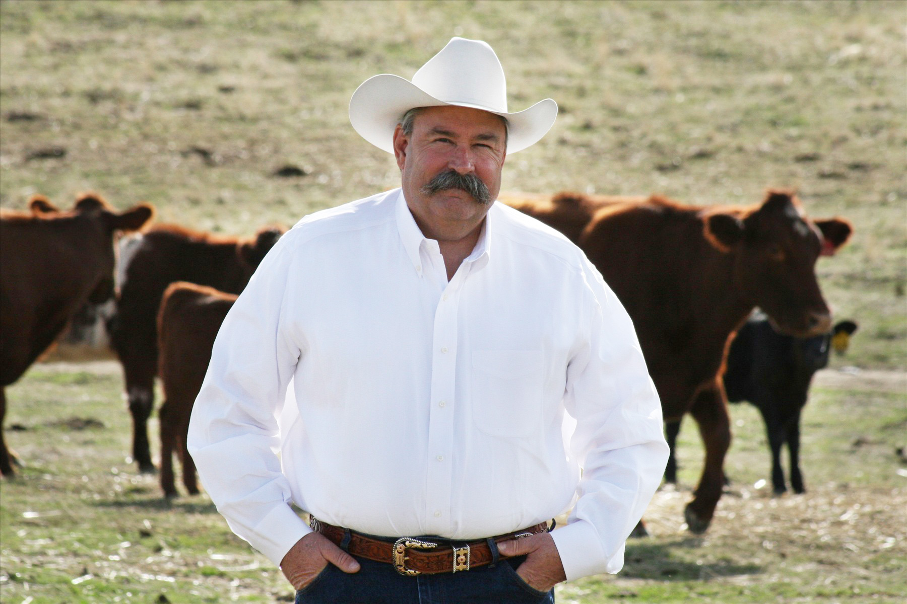 Assemblyman Frank Bigelow and California Water Alliance Respond to SB1 ...